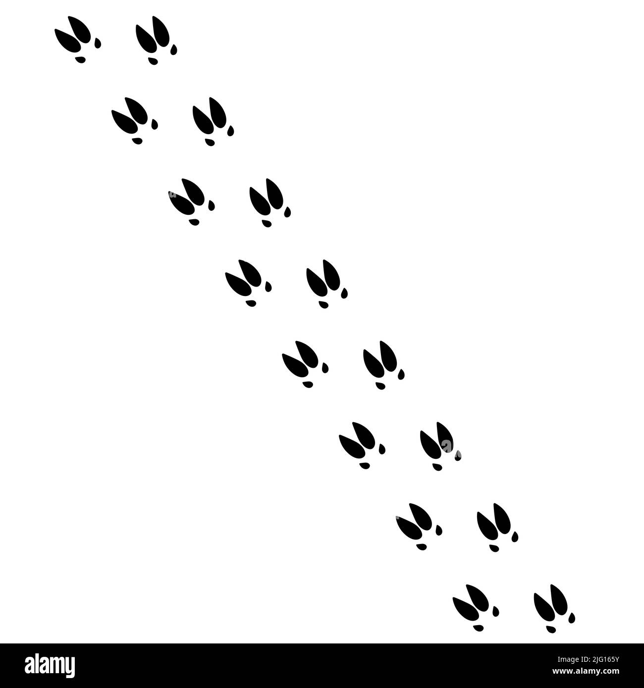 Pig trail vector. Pig imprint icon vector illustration Stock Vector ...