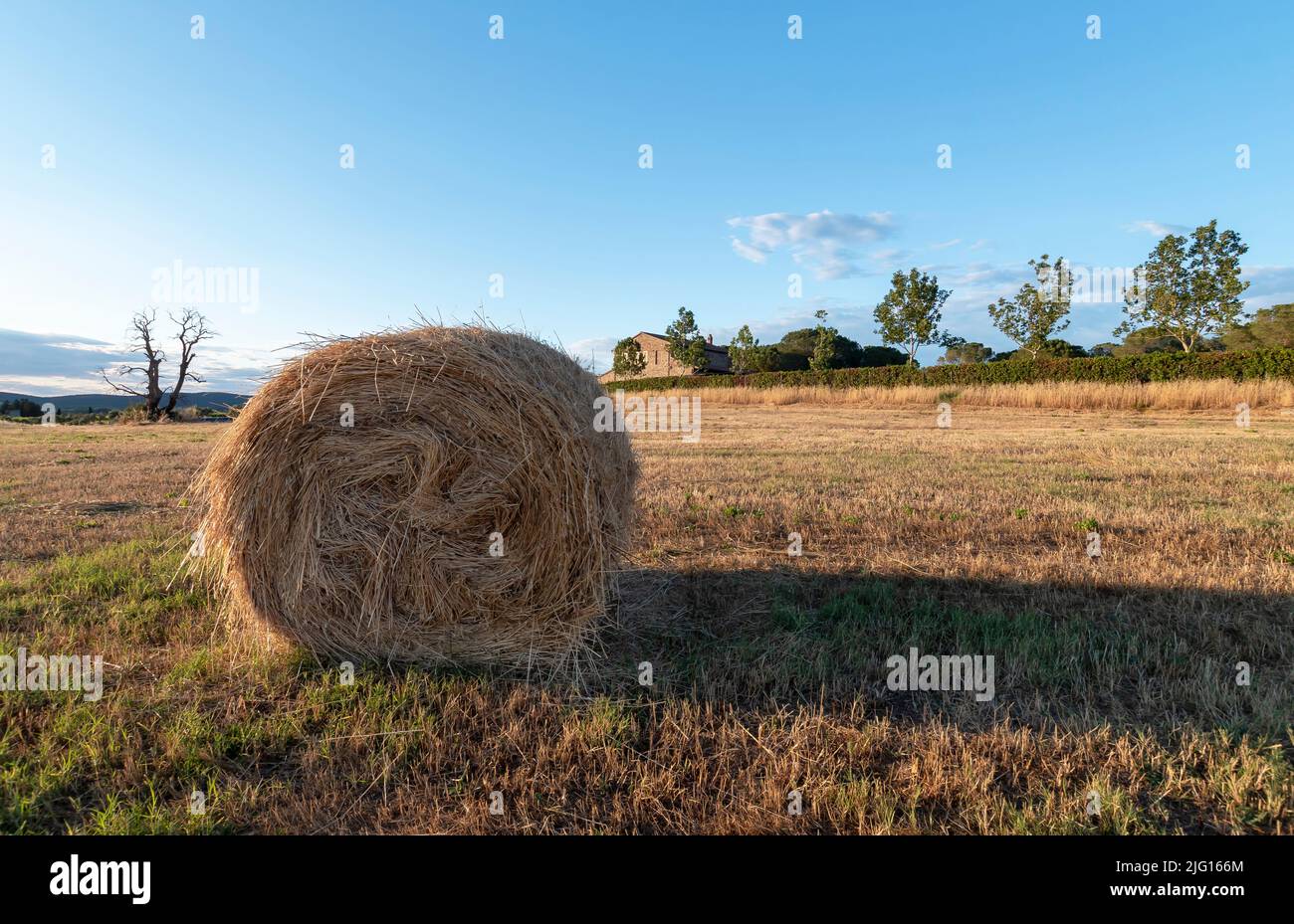Sheaves at sunset, Maremma landscape, Italy Stock Photo - Alamy