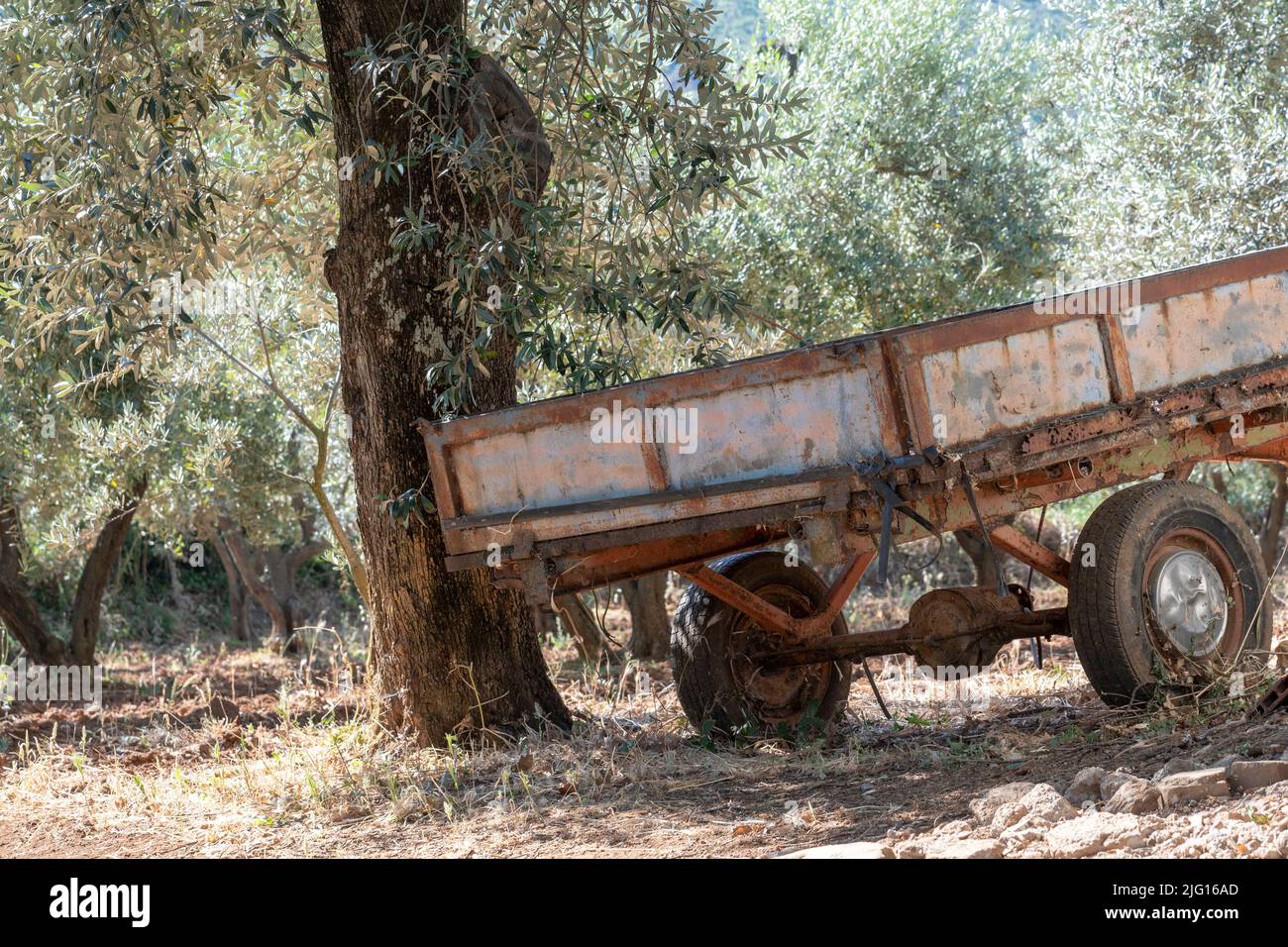 Bucolic landscape hi-res stock photography and images - Alamy