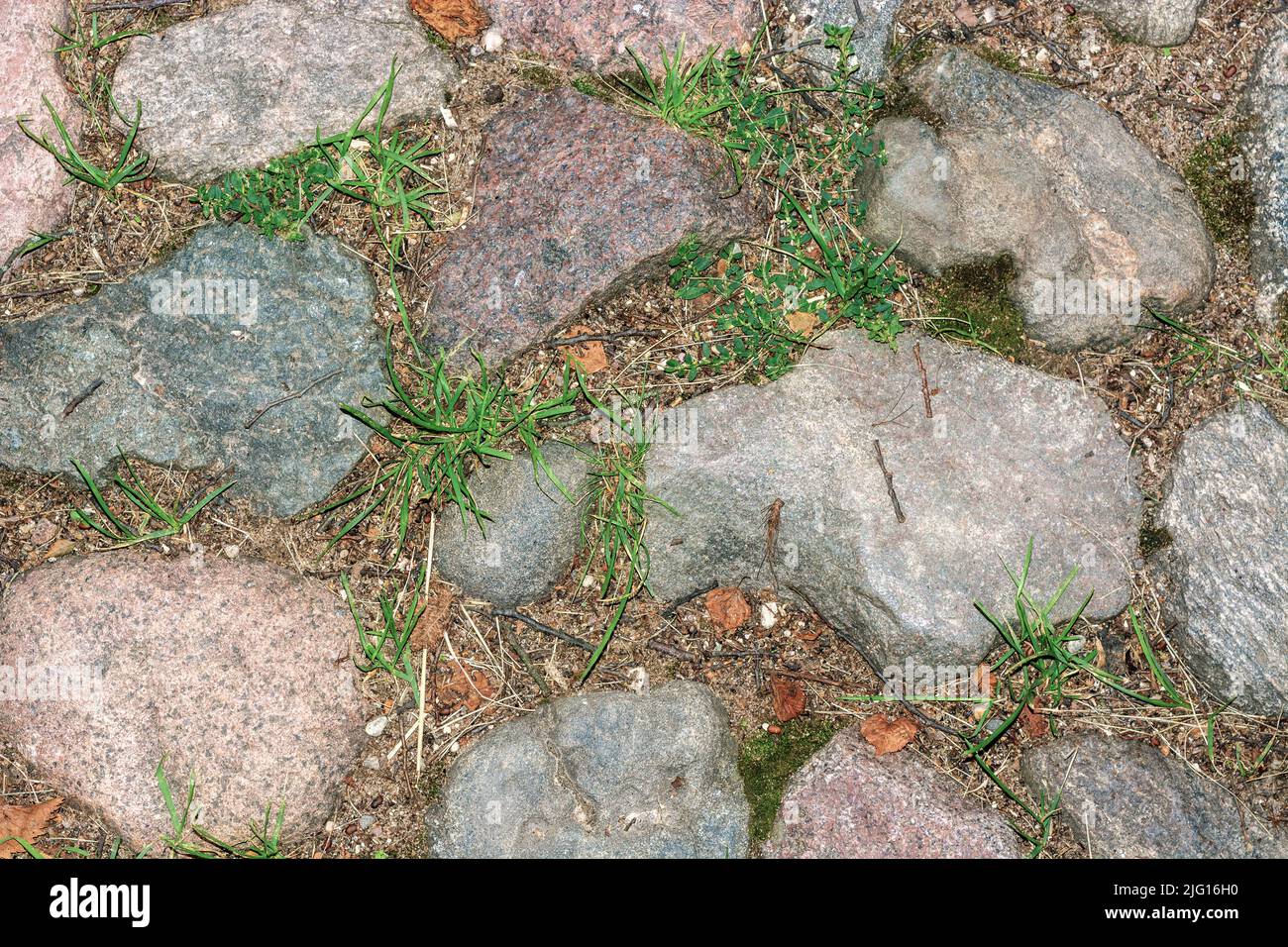 Fragment of a footpath lined with cobblestones and large stones with ...