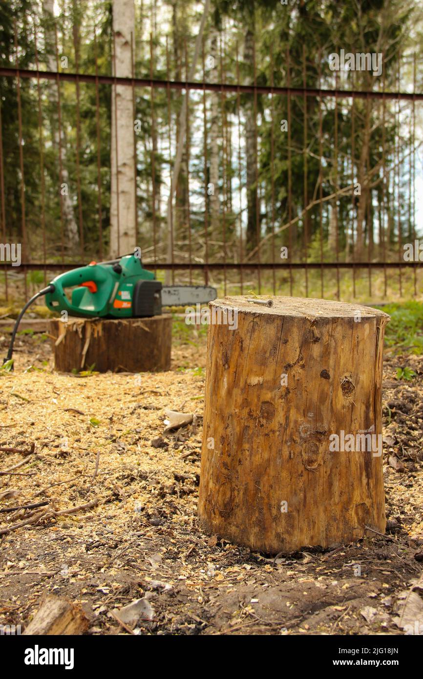 Blurred chainsaw on a tree trunk. Tree stump in the foreground Stock ...