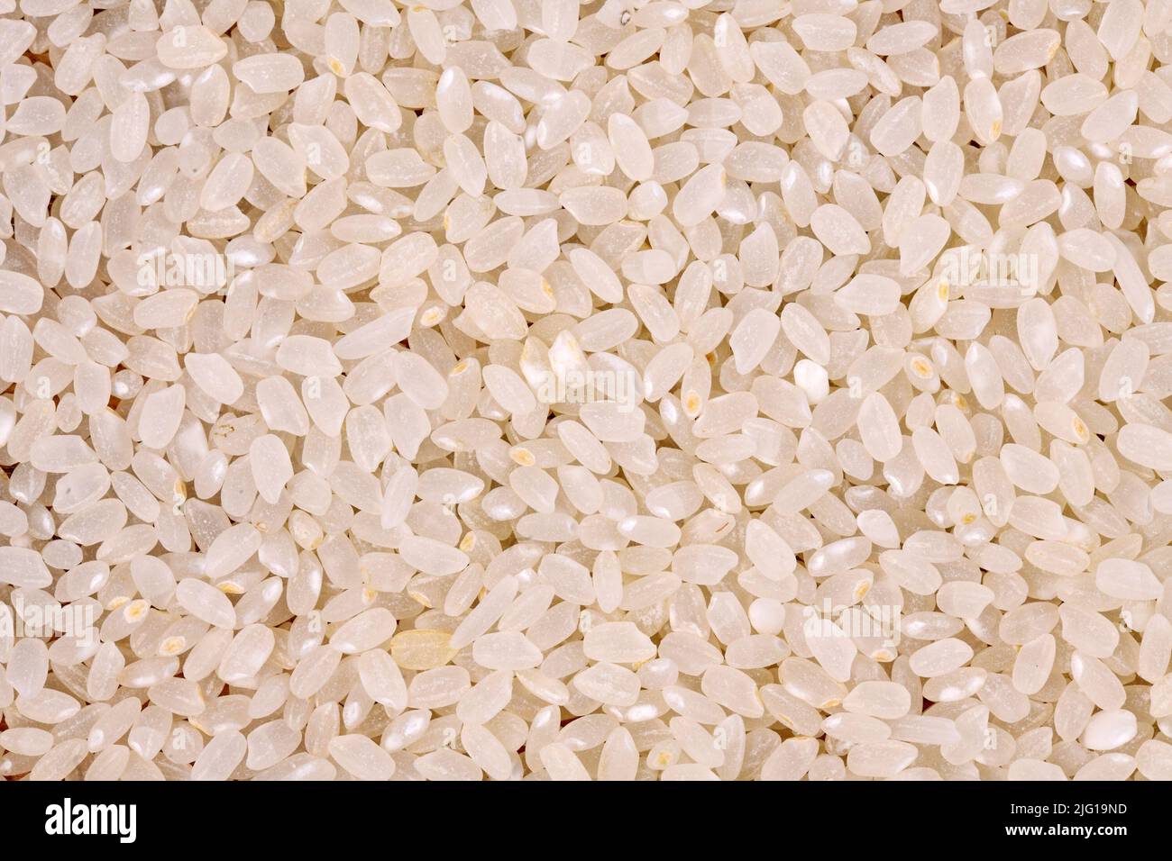 Close up uncooked raw rice hi-res stock photography and images - Alamy