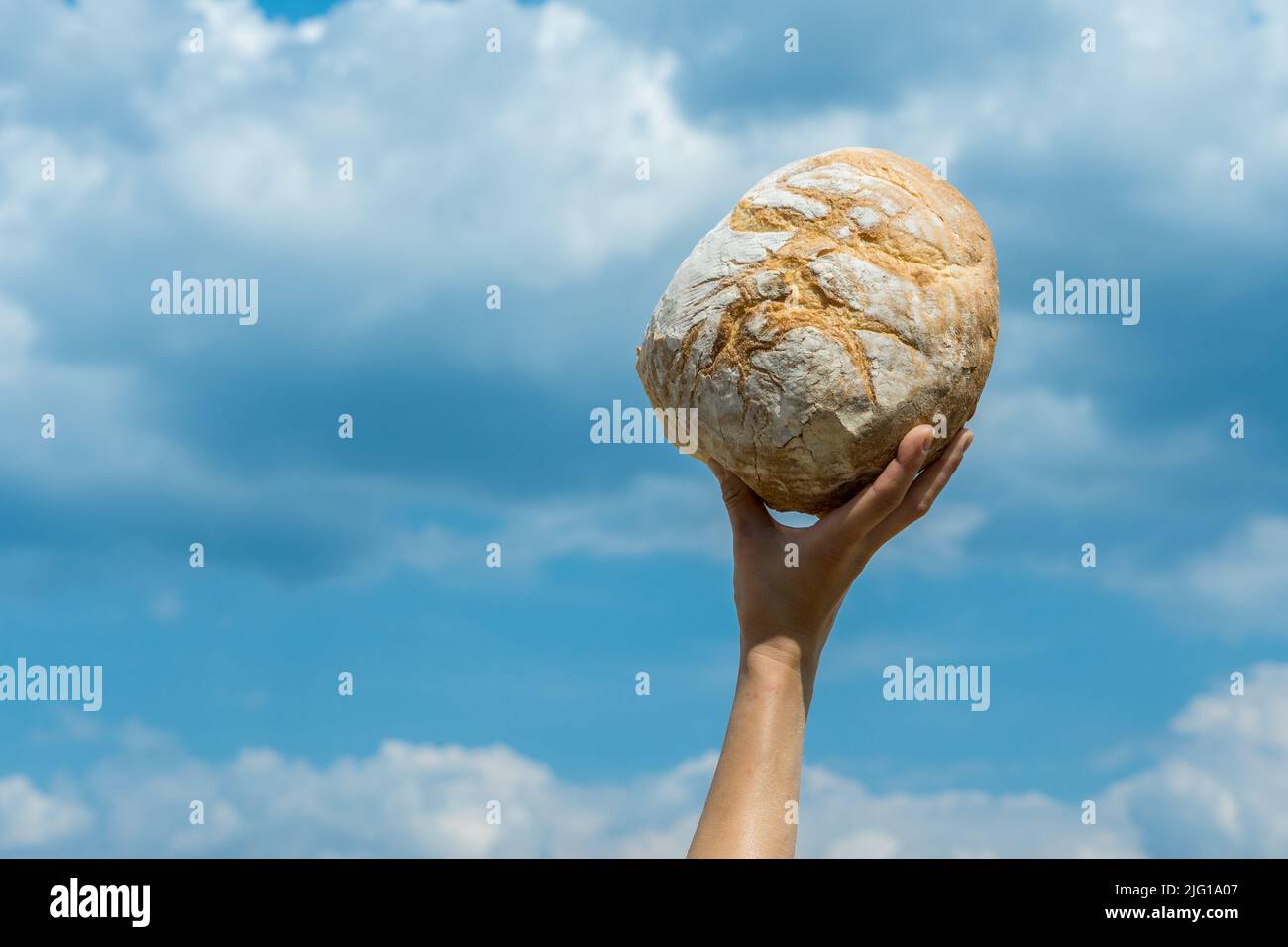 Female hands holding home baked bread loaf above her head over a blue ...