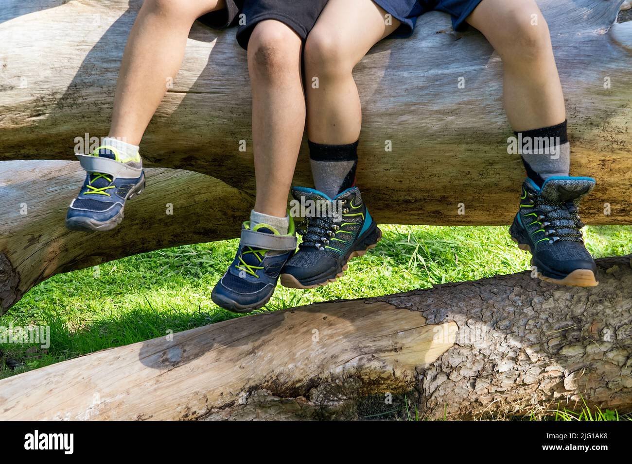 latin kids sitted on a tree trunk with mountain boots. camping concept ...