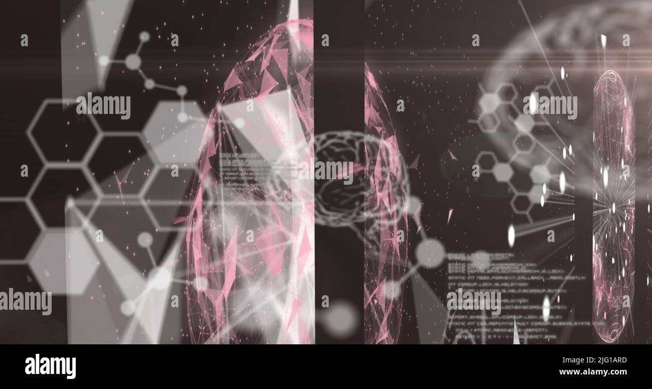 Structures of brain hi-res stock photography and images - Alamy