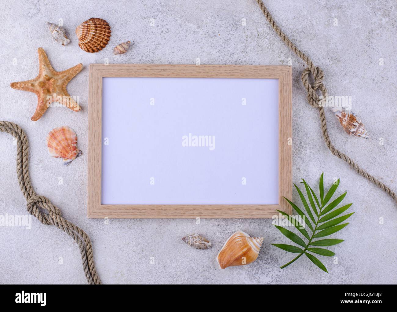 Summer nautical marine background with shell Stock Photo - Alamy