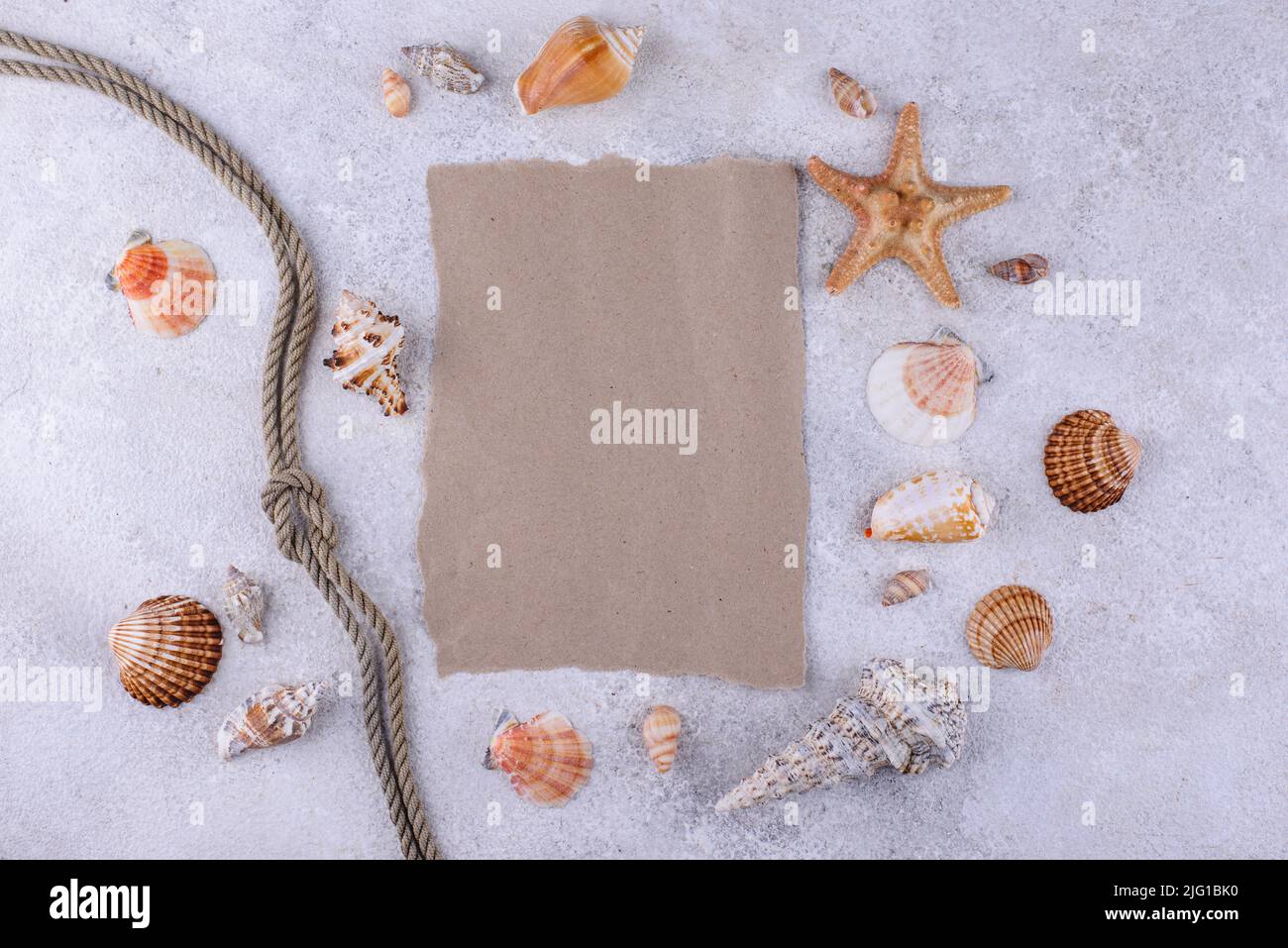 Summer nautical marine background with shell Stock Photo - Alamy