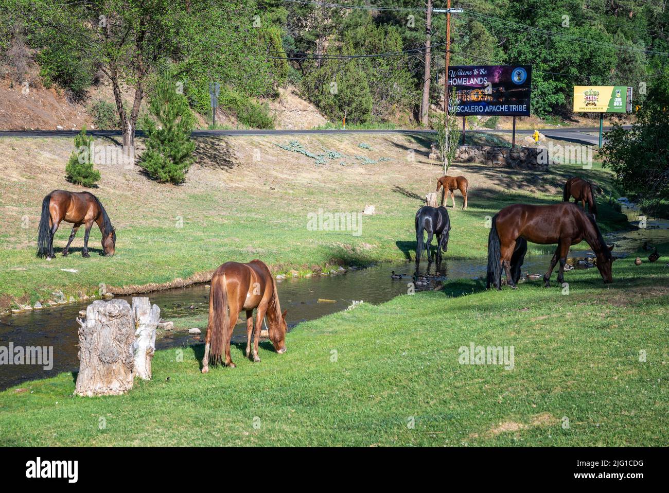 America ruidoso hi-res stock photography and images - Alamy