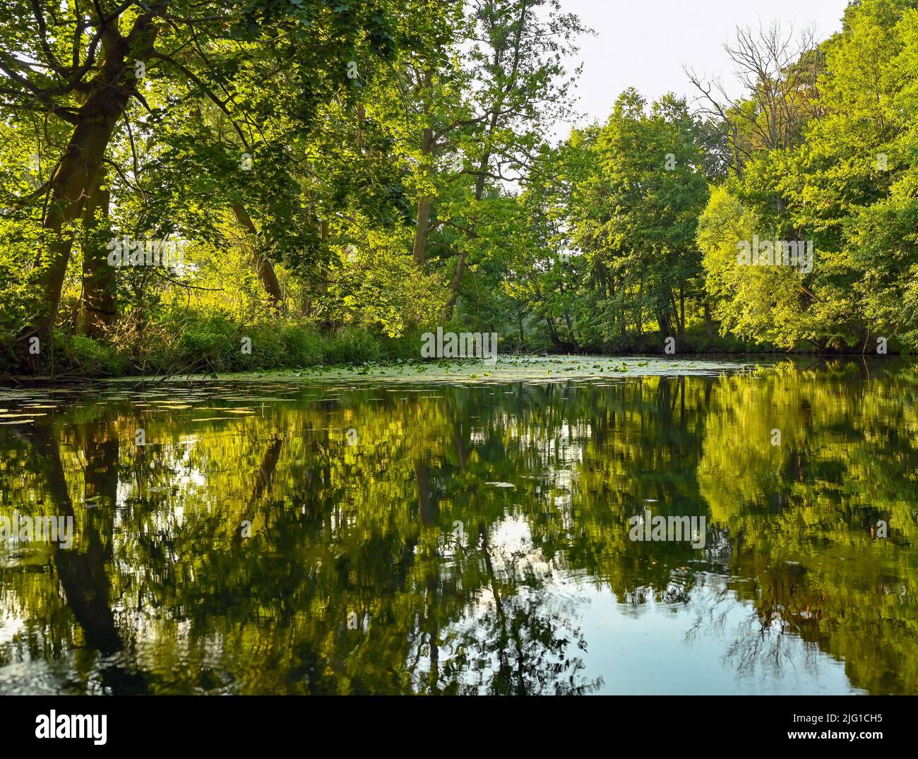 Drahendorf, Germany. 03rd July, 2022. The Drahendorfer Spree, a section ...