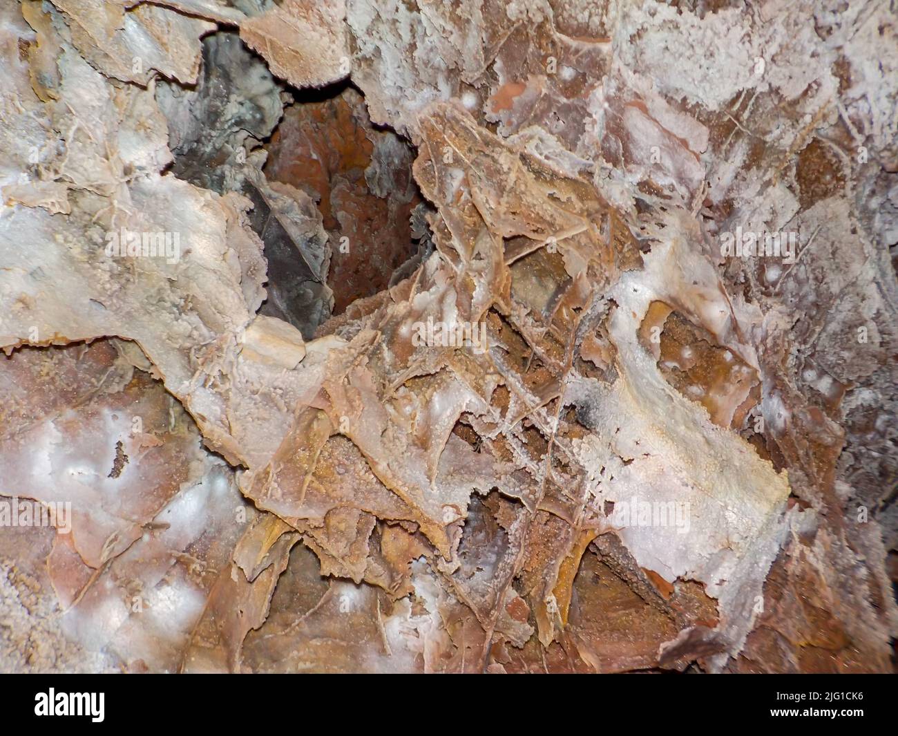Boxwork formation inside Wind Cave National Park in the Black Hills of ...