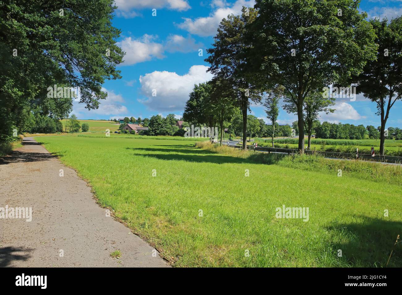 Beautiful rural lower rhine (Niederrhein) summer landscape, green forest, agricultural fields ...