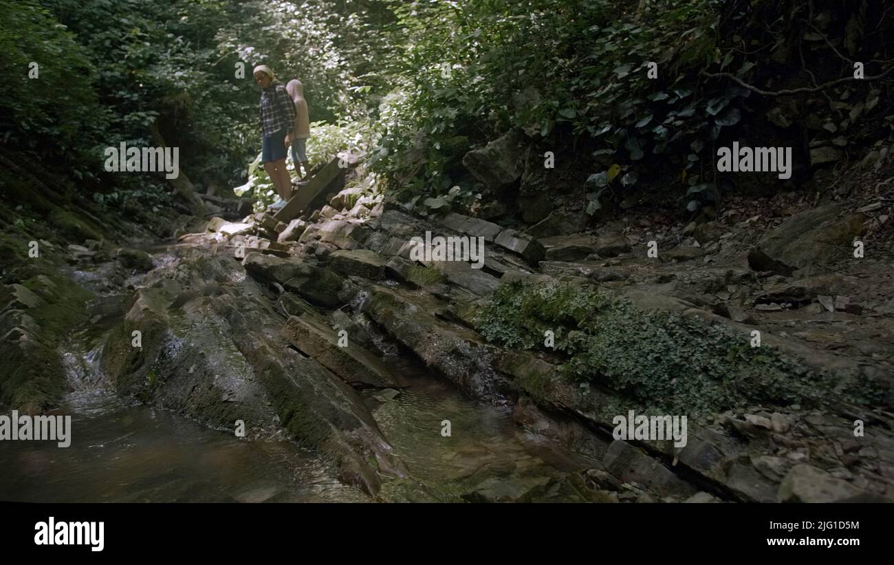 Australia.Creative. Beautiful tropical places with long forests in a ...