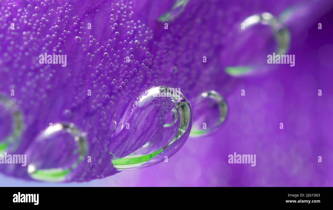 Close-up on bright flower petals bubbles. Stock footage. Oxygen bubbles ...