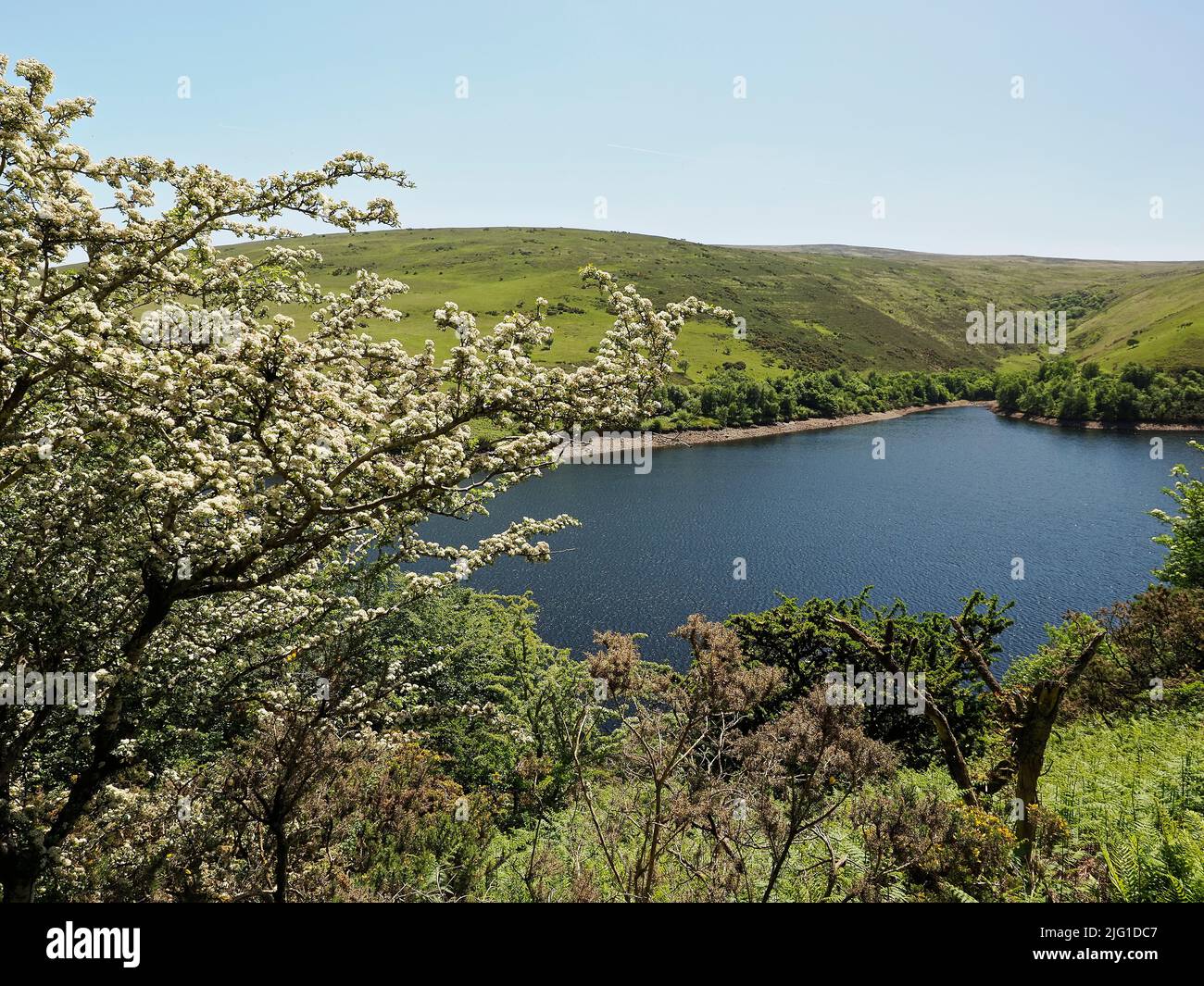 Meldon Reservoir, Dartmoor Stock Photo - Alamy