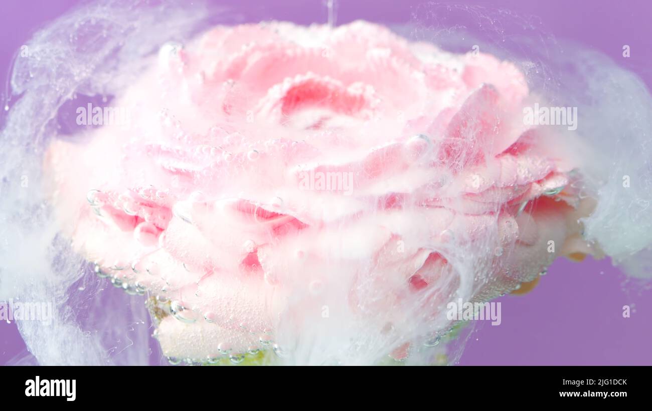 Delicate purple background.Stock footage.A beautiful creative work ...