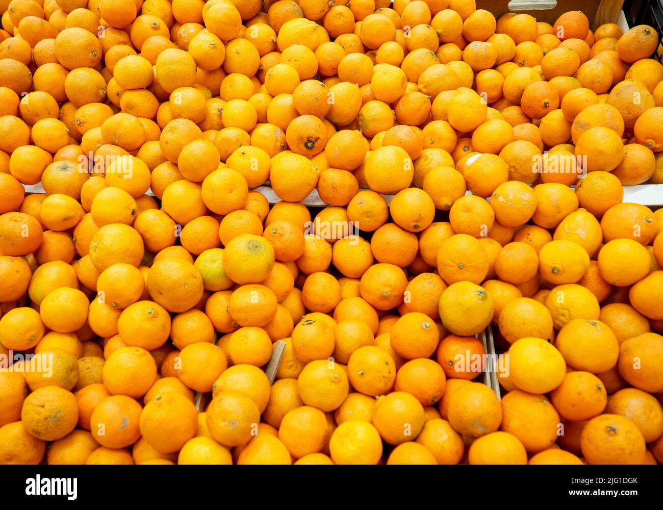 Different oranges on the store counter. Trade in fresh fruits. Juicy ...