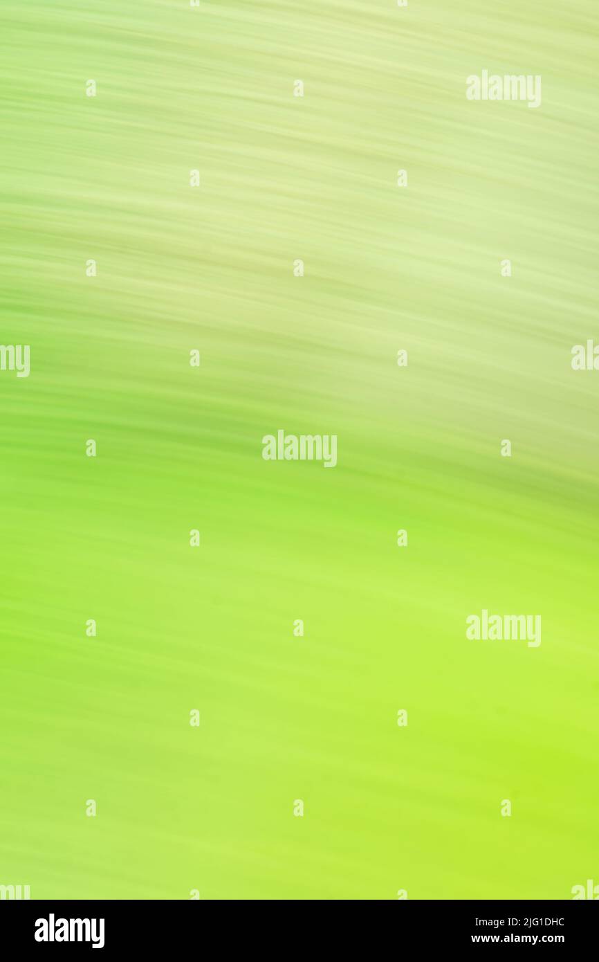 Green blurred bokeh out of focus background. Green abstract blurry ...