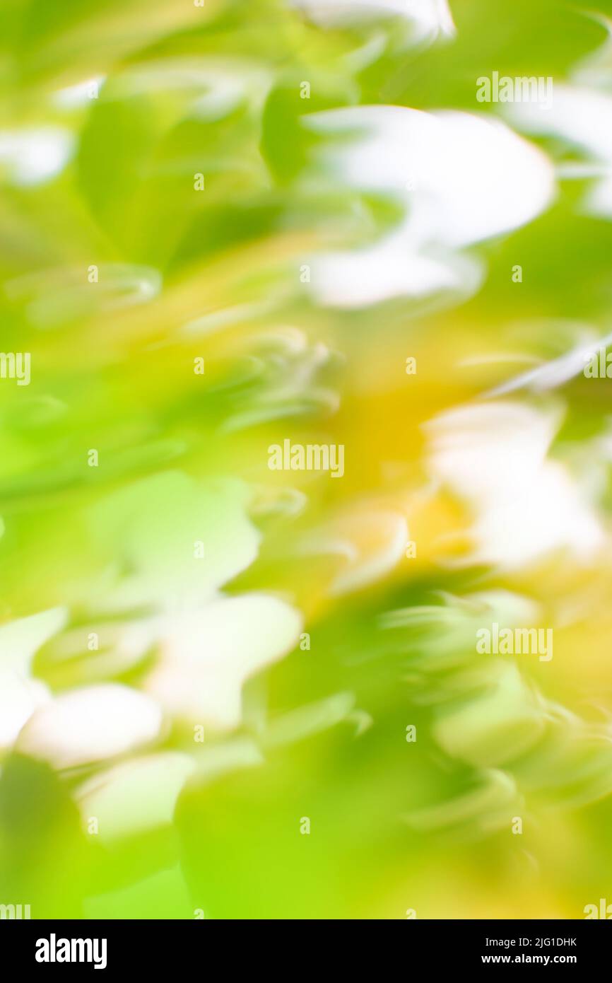 Amazing green nature in motion. Green and blue abstract defocused ...