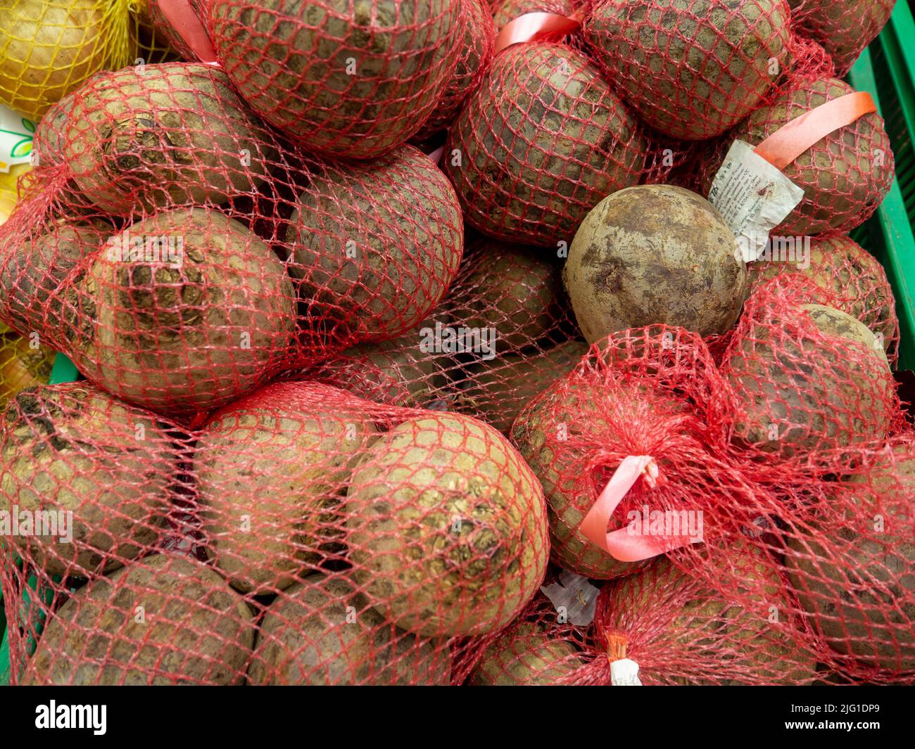 Vegetable shop. Healthy foods. Beets on the counter. Showcase of ...