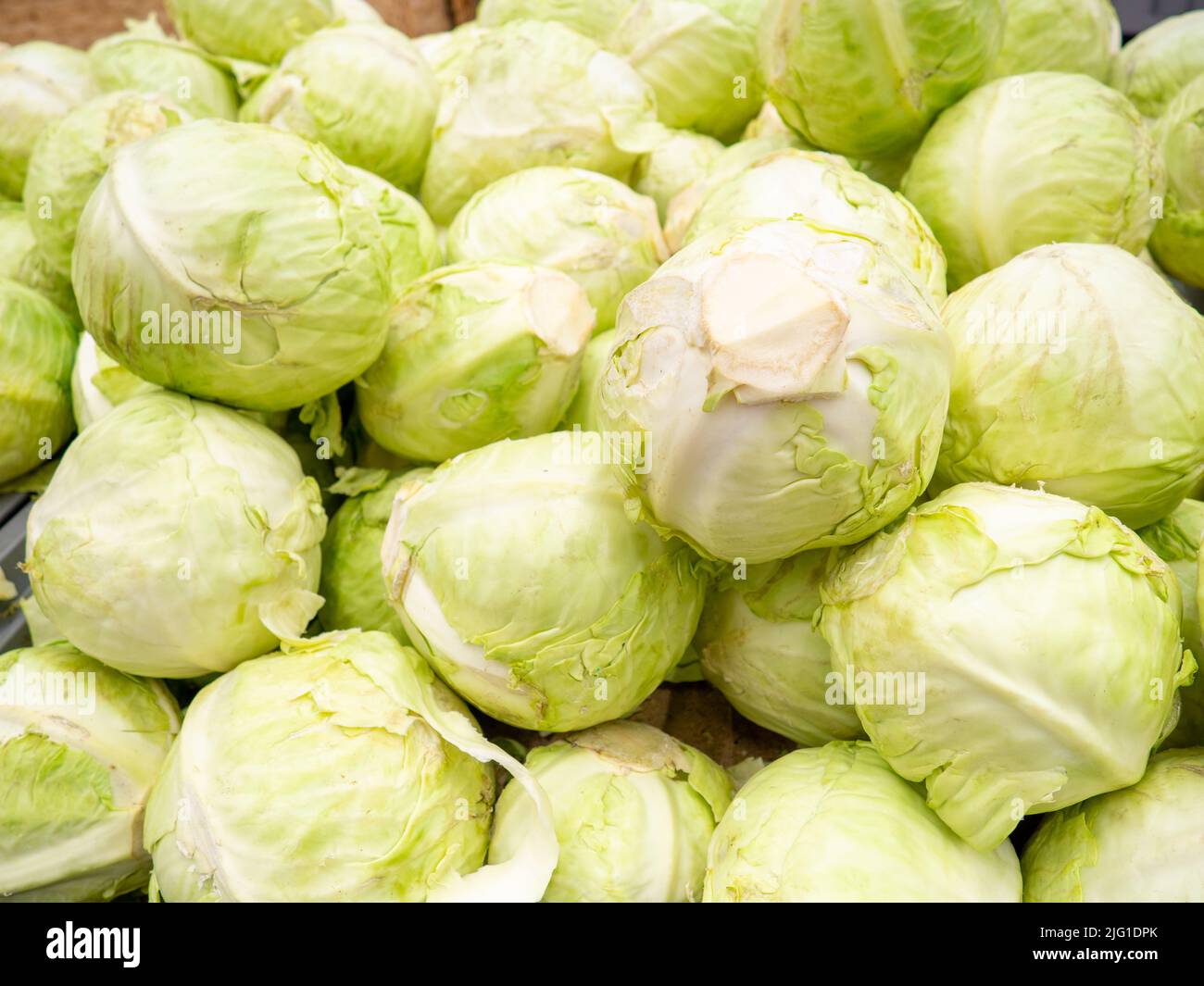 Vegetable shop. Healthy foods. Cabbage on the counter. Showcase of ...