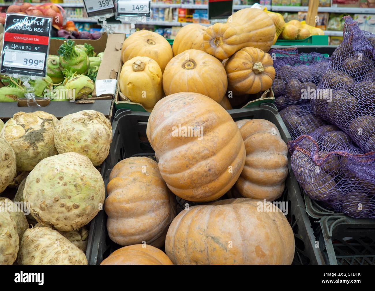 Vegetable shop. Healthy foods. Calabaza Squash. Sale of products from ...