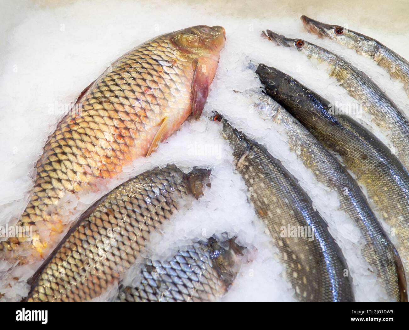 Chilled river hi-res stock photography and images - Alamy