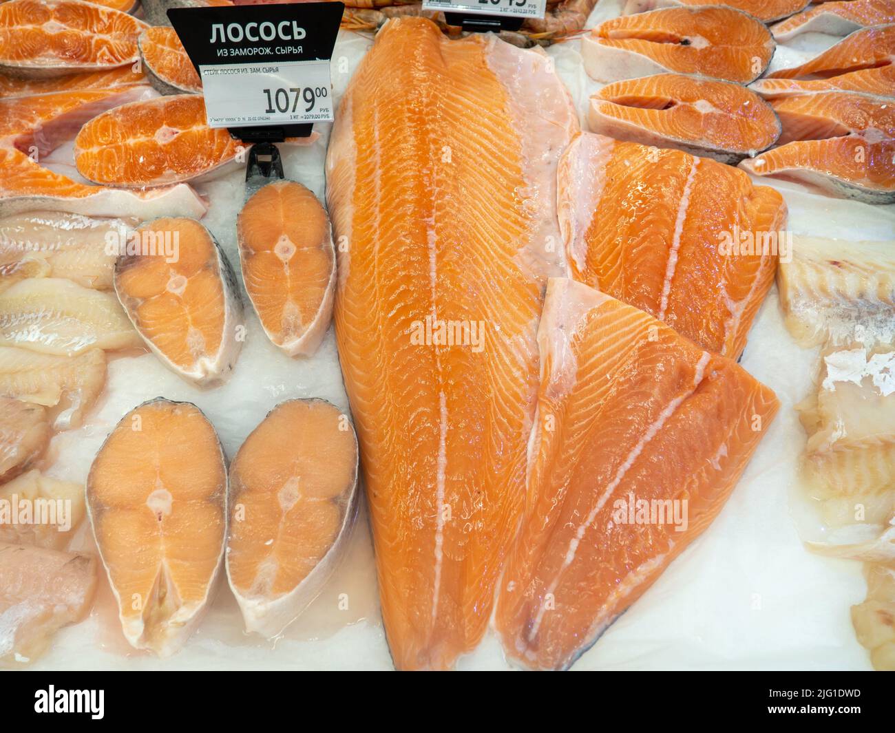Fish shop. Sale of salmon. Fish heads. Salmon fillet chilled on the ...