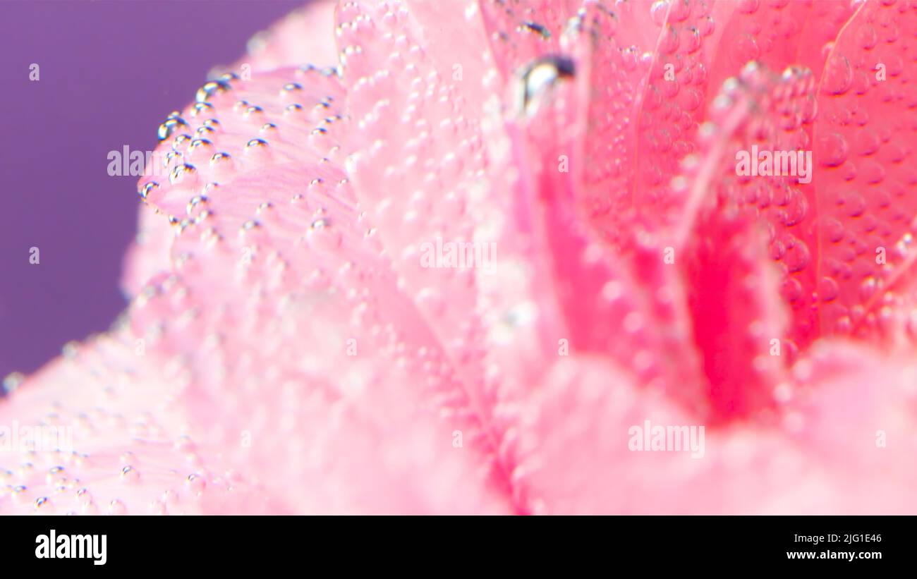 Super slow motion footage pouring hi-res stock photography and images ...