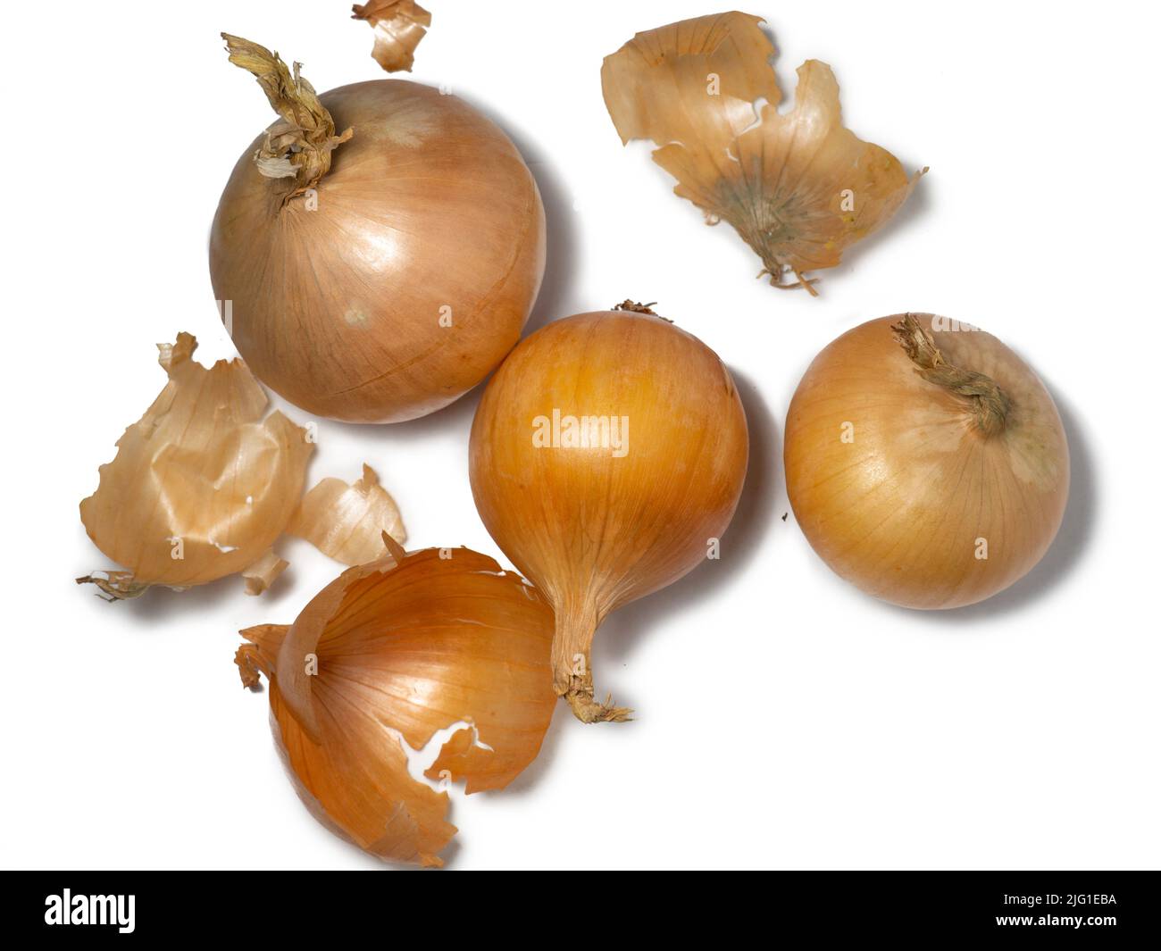 Onion on a white background. Root isolate. Fresh vegetables. Spices for ...