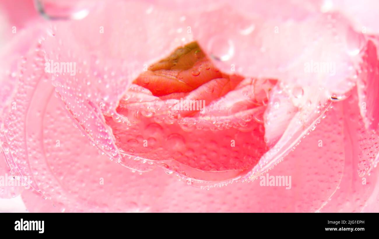 Super slow motion footage pouring hi-res stock photography and images ...