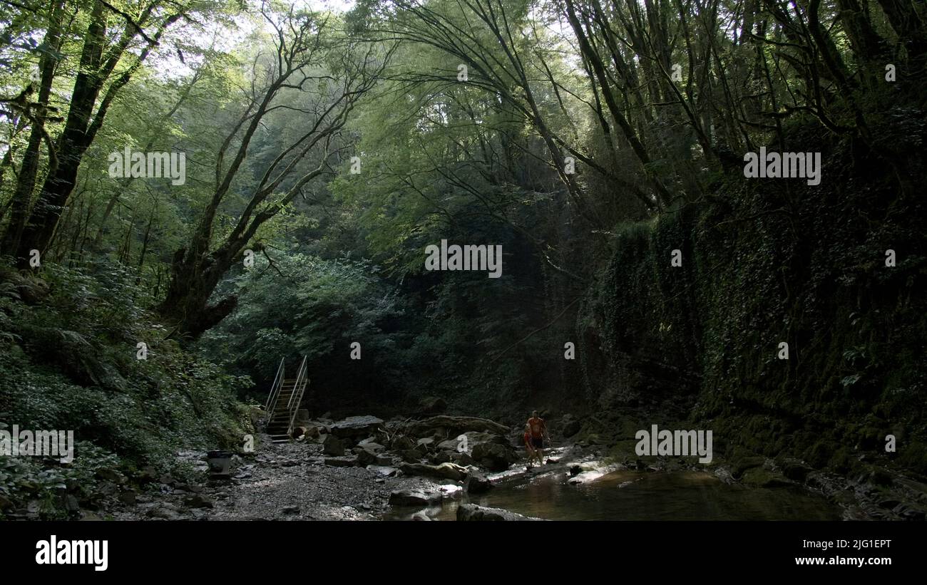 Dad and daughter in the tropics.Creative. A family walking through the ...