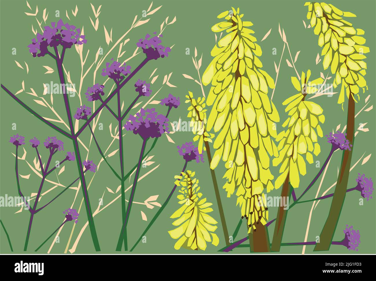 Perennial flower border Stock Vector Images - Alamy