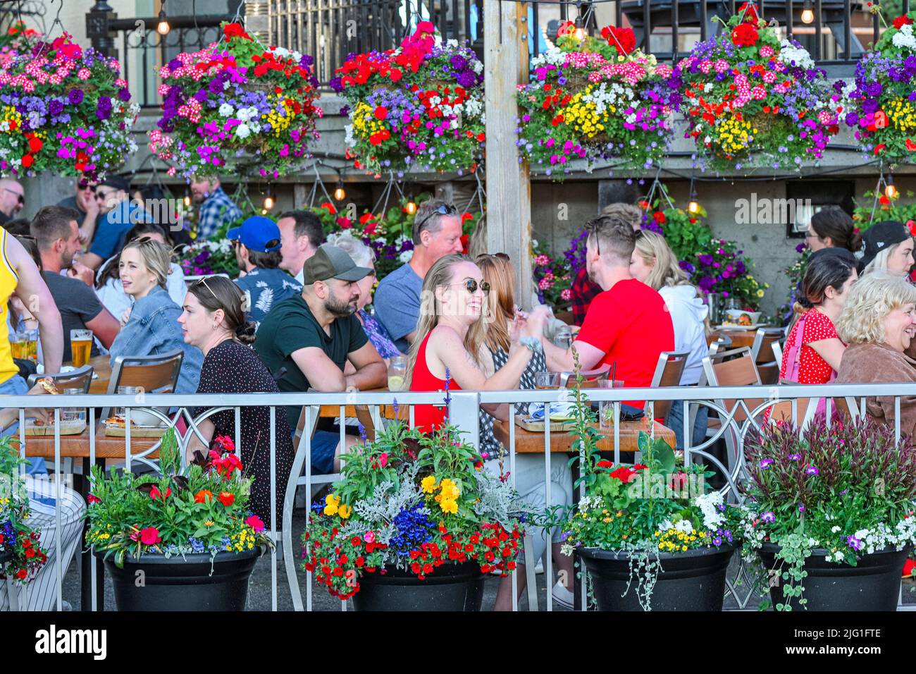 Busy outdoor patio, The Local, Bar and Grill, restaurant, pub, Victoria ...