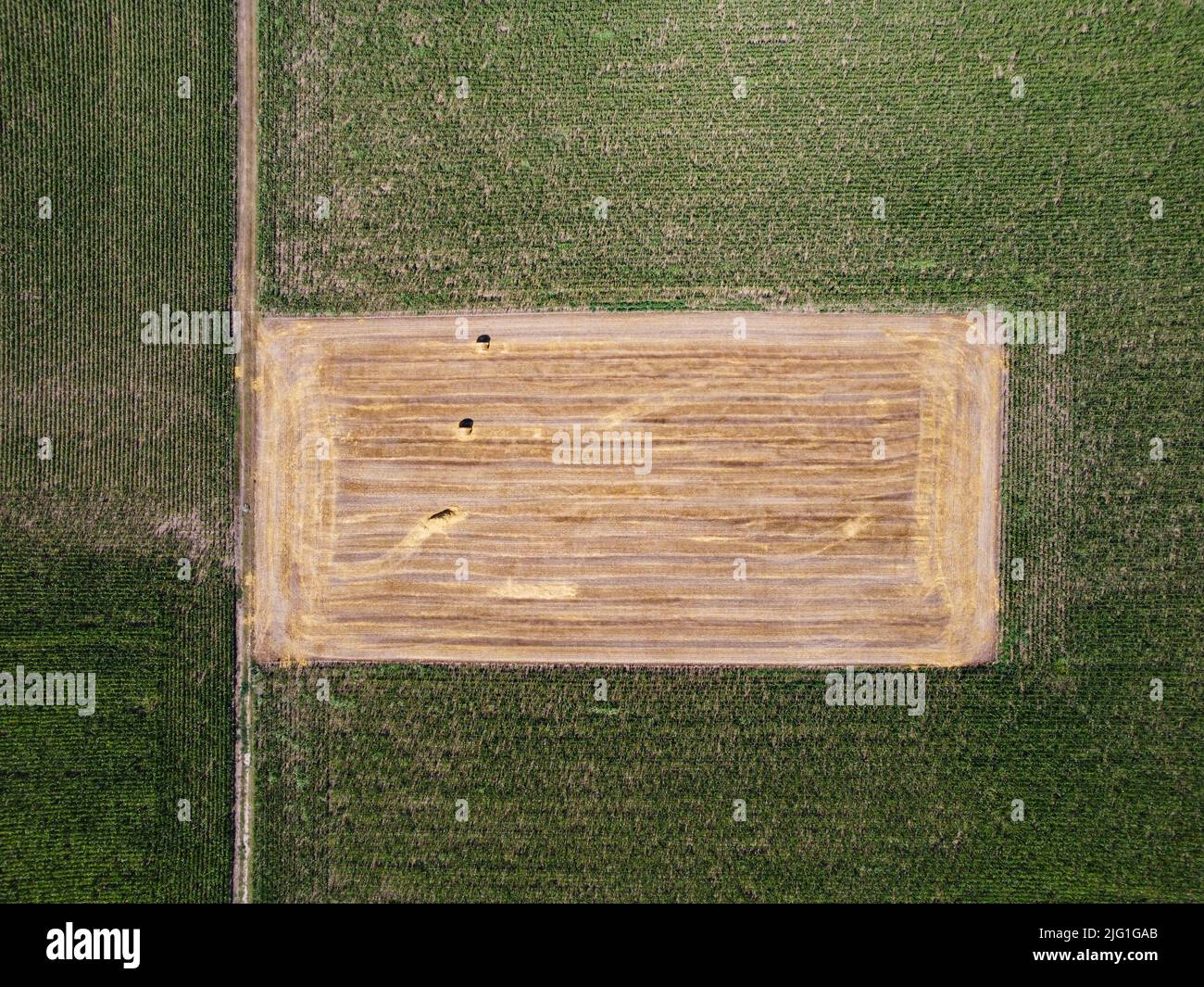 Agricultural field viewed from the top Stock Photo - Alamy