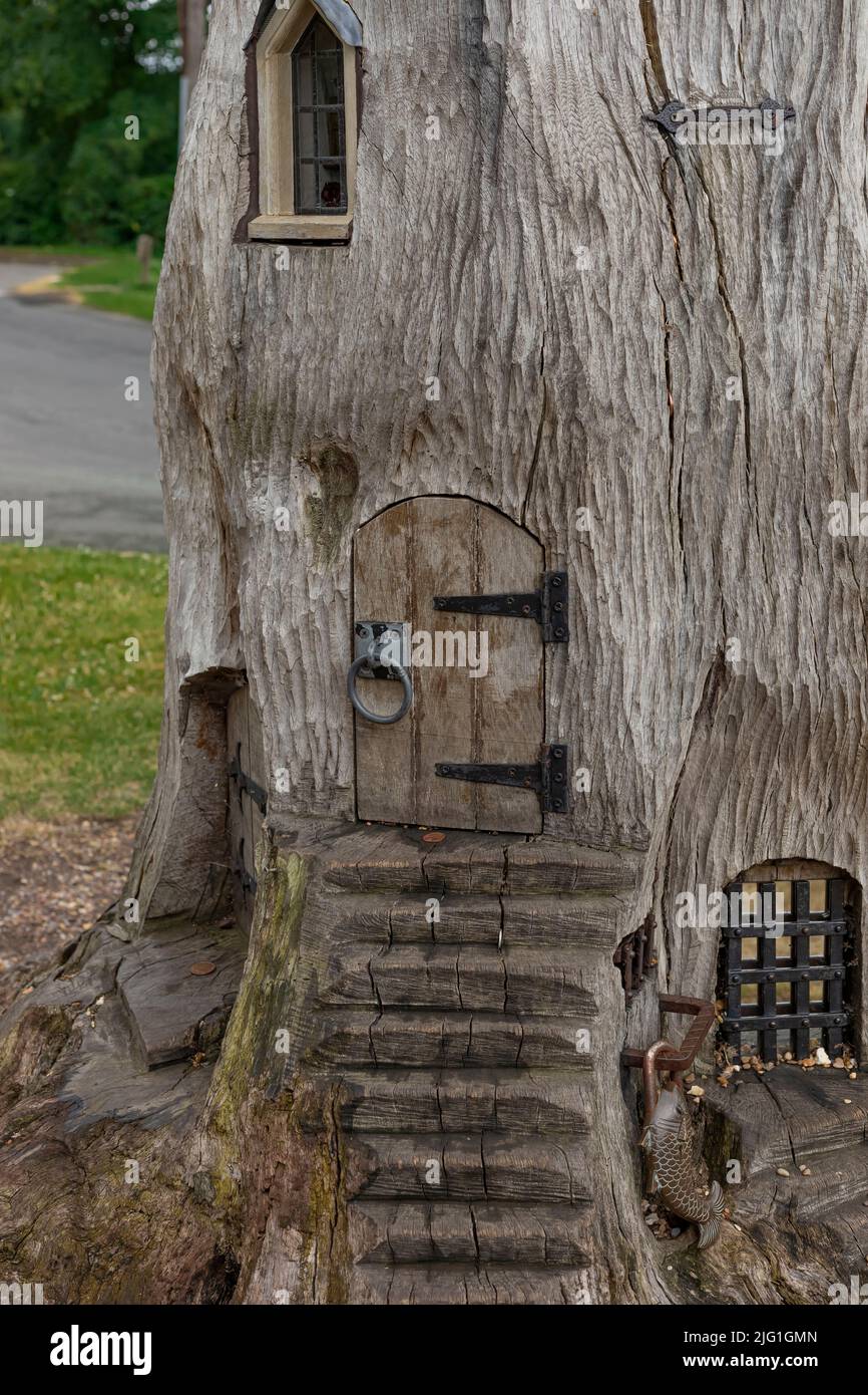Steps leading up to a doorway in a tree with small windows and a ...