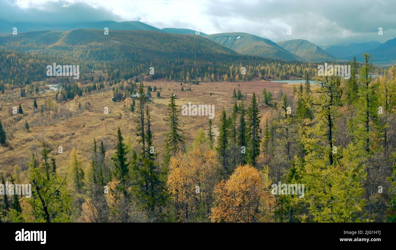 Canadian forest arial view hi-res stock photography and images - Alamy