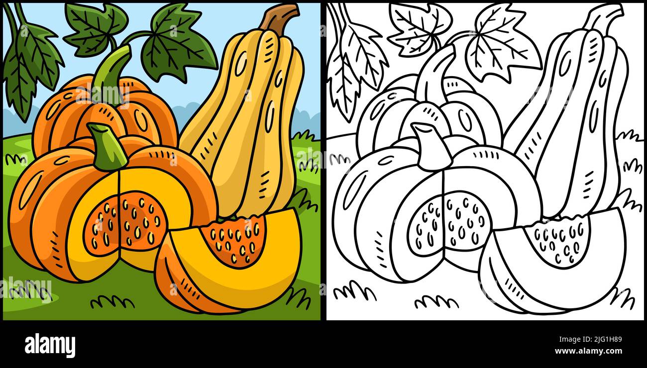 Thanksgiving Pumpkin Coloring Page Illustration Stock Vector Image ...