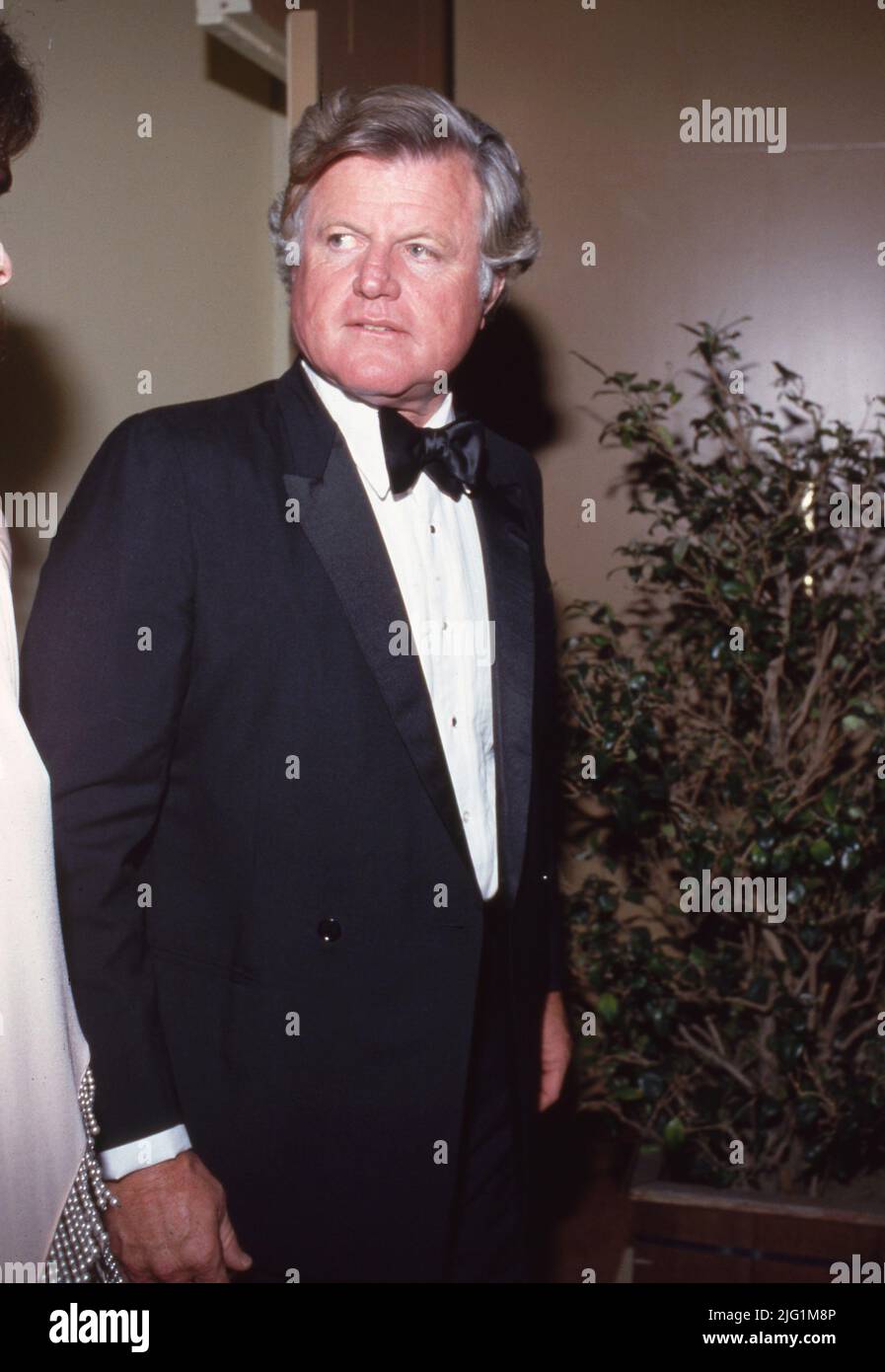 Ted Kennedy Circa 1980's Credit: Ralph Dominguez/MediaPunch Stock Photo ...