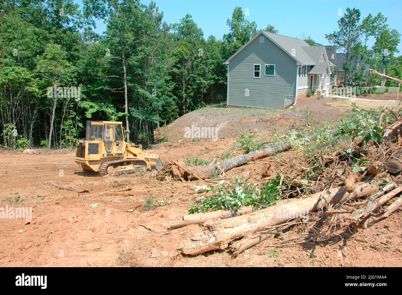 Stripping forest trees from lot to build more new homes in subdivision ...