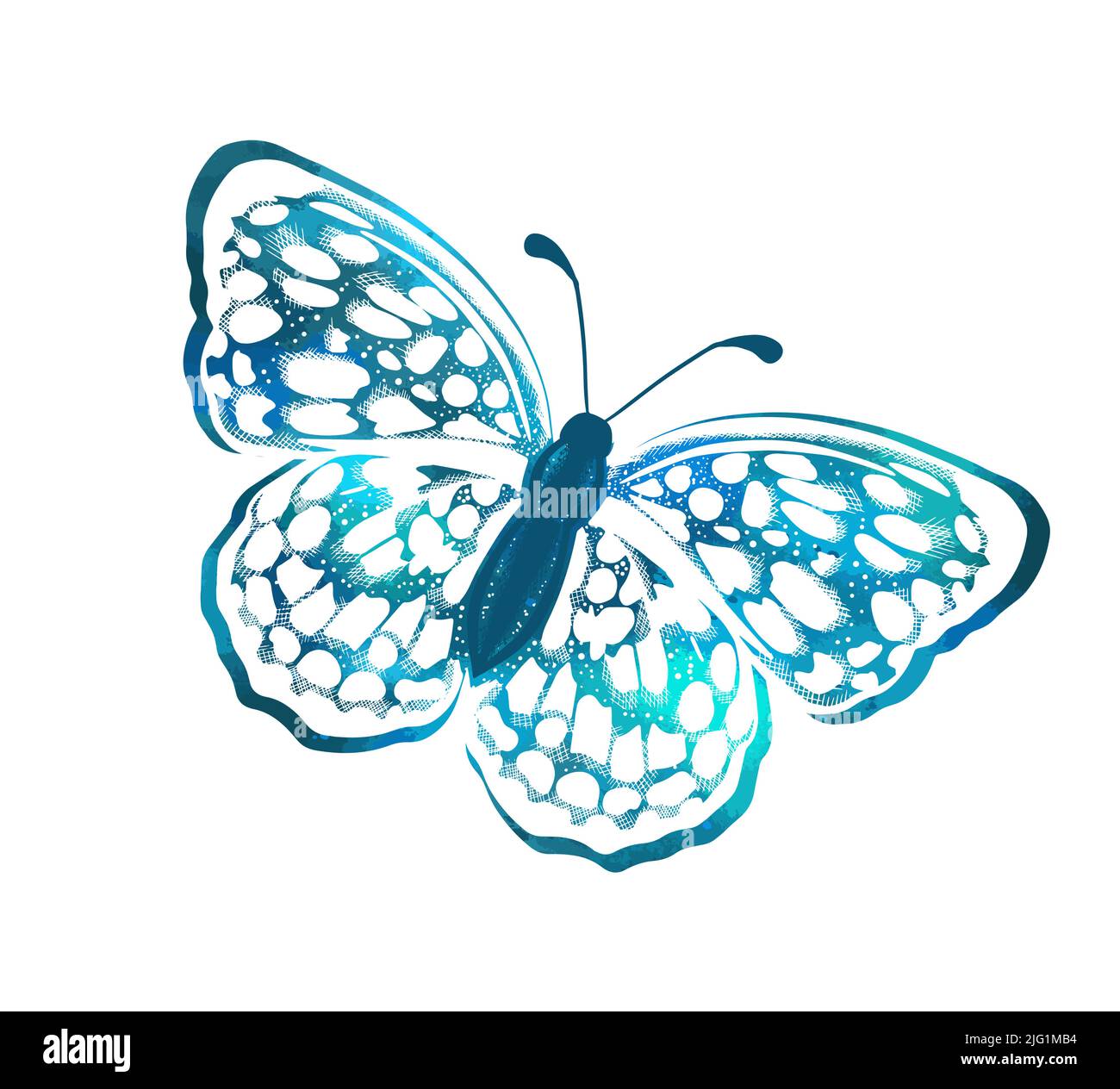 Iridescent blue butterfly Cut Out Stock Images & Pictures - Alamy