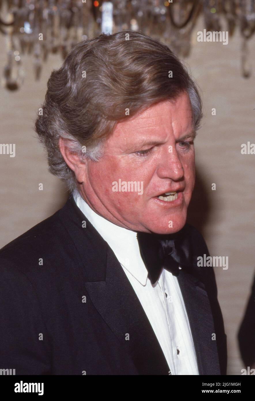 Ted kennedy 1980s hi-res stock photography and images - Alamy