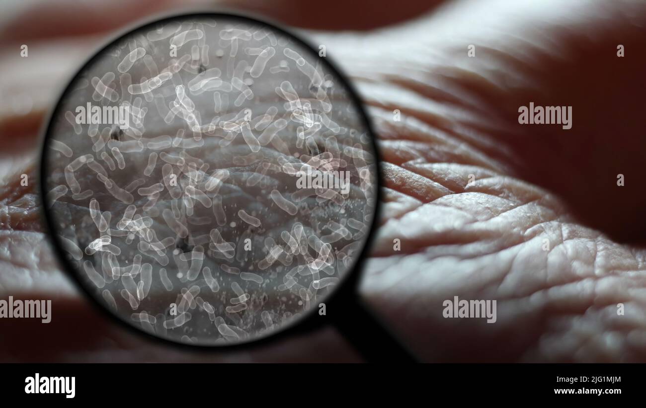 Searching for bacteria on human skin Stock Photo - Alamy