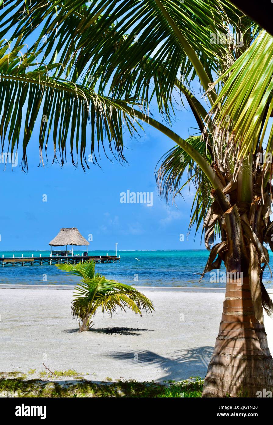 A tropical scene of a white sand beach with palm trees and a palapa ...