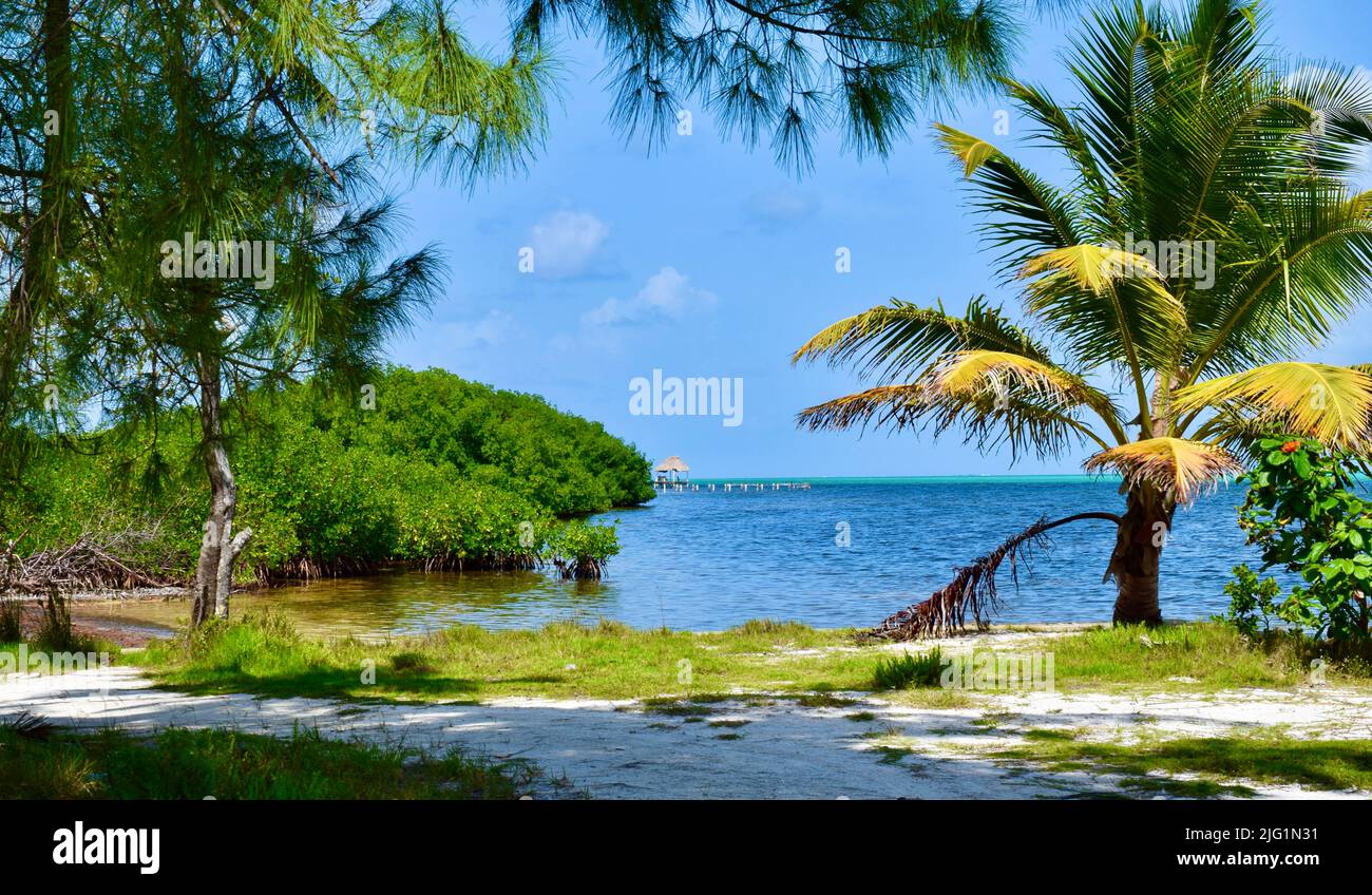 A view of the water, some tropical vegetation, and a pier in the ...
