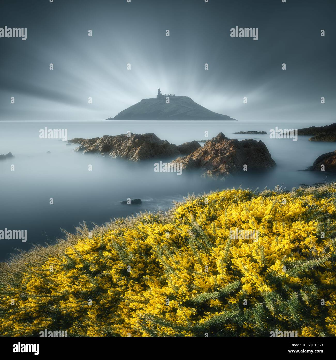 Sea stacks and coastal landscape, County Cork, Ireland Stock Photo - Alamy