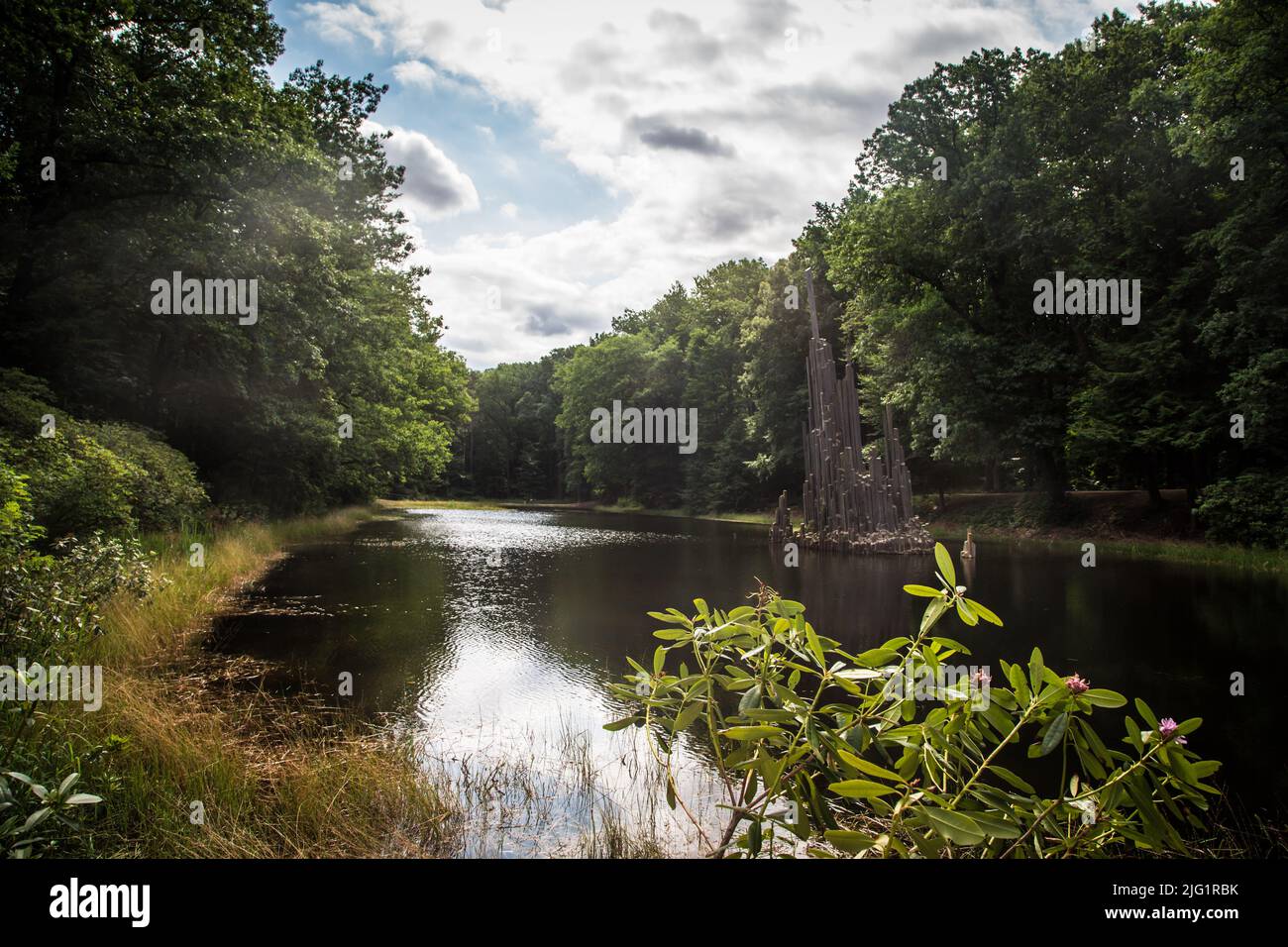 Rhododendrenpark hi-res stock photography and images - Alamy
