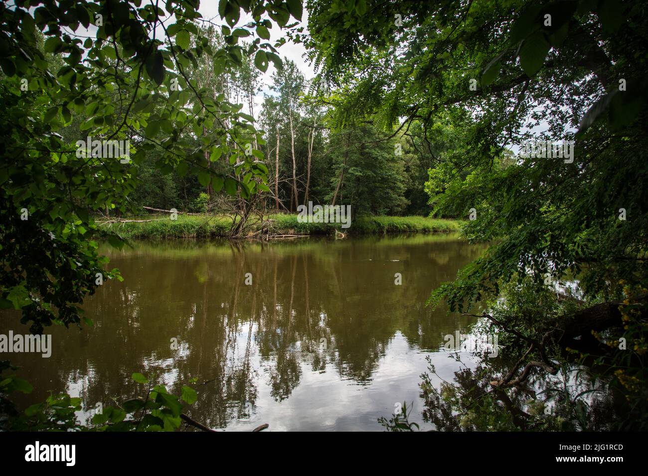 Lusatia summer hi-res stock photography and images - Alamy