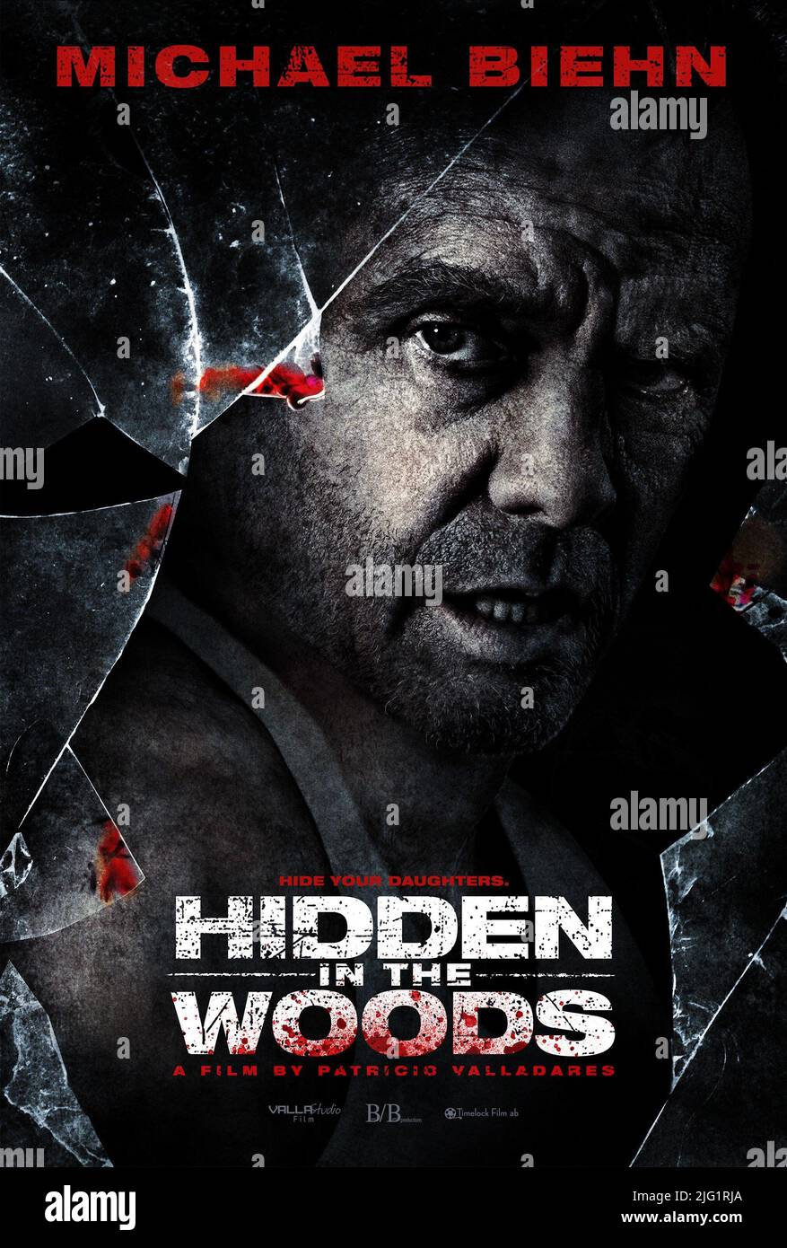 MICHAEL BIEHN POSTER, HIDDEN IN THE WOODS, 2014 Stock Photo - Alamy