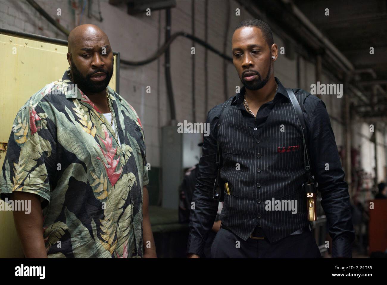 Rza Brick Mansions