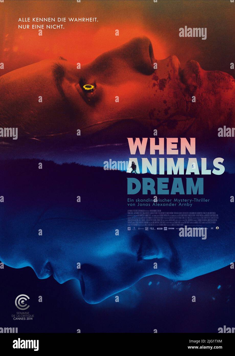 MOVIE POSTER, WHEN ANIMALS DREAM, 2014 Stock Photo - Alamy